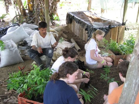 Service Projects Photos | SCLC